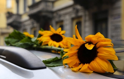 Fiori, favole e libarche. L’arte di Claudia Ponzi - P+S Post Scriptum